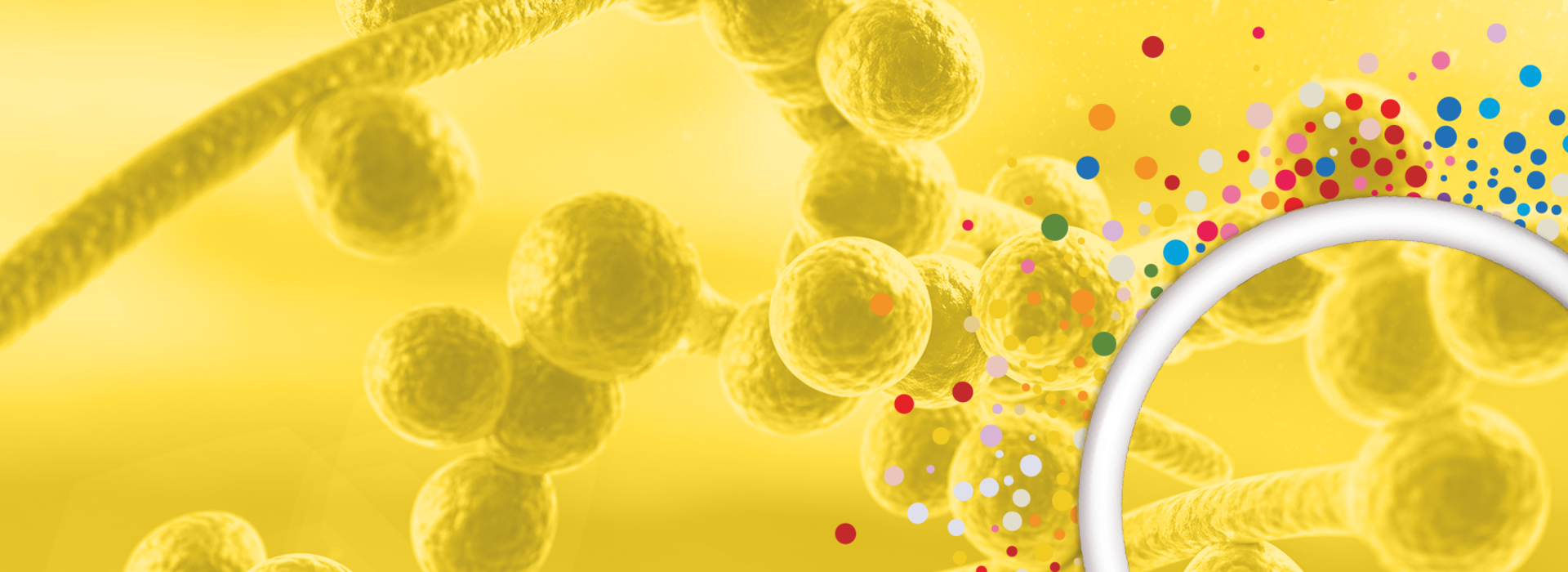 Geringere Adhäsion von C. albicans am vaginalen Verhütungsring